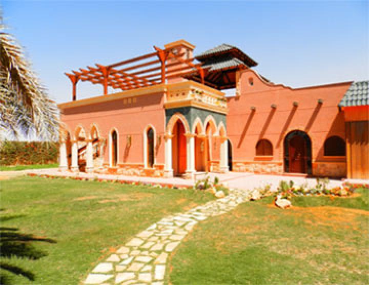 Home - شركة رايتك